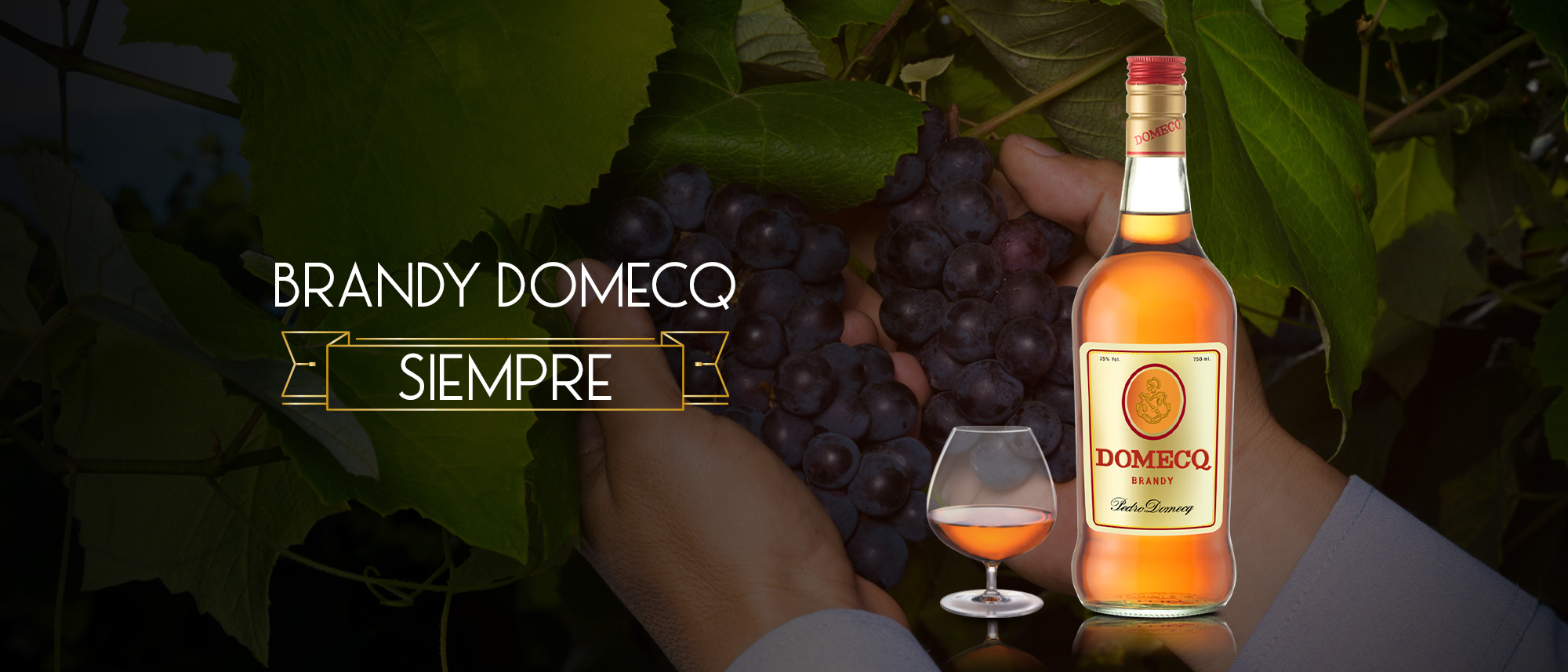 Brandy Domecq es el brandy de los colombianos | PDC Vinos y Licores